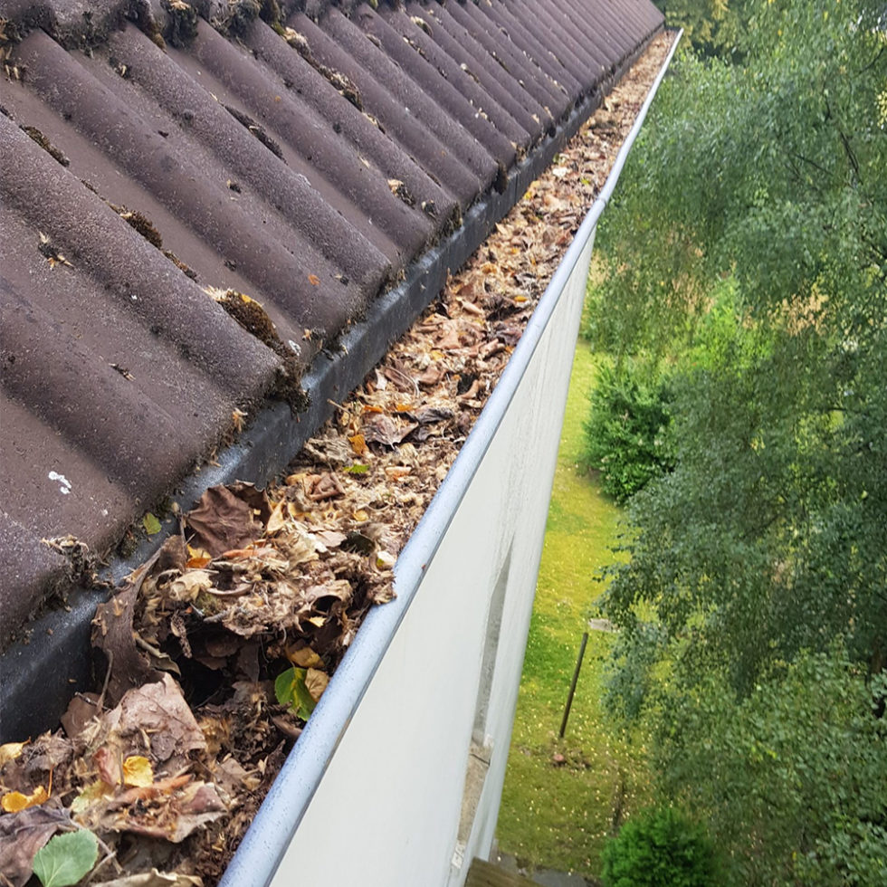 Dachrinnenreinigung - Dachrinnenreinigung- Deine-Dachrinne